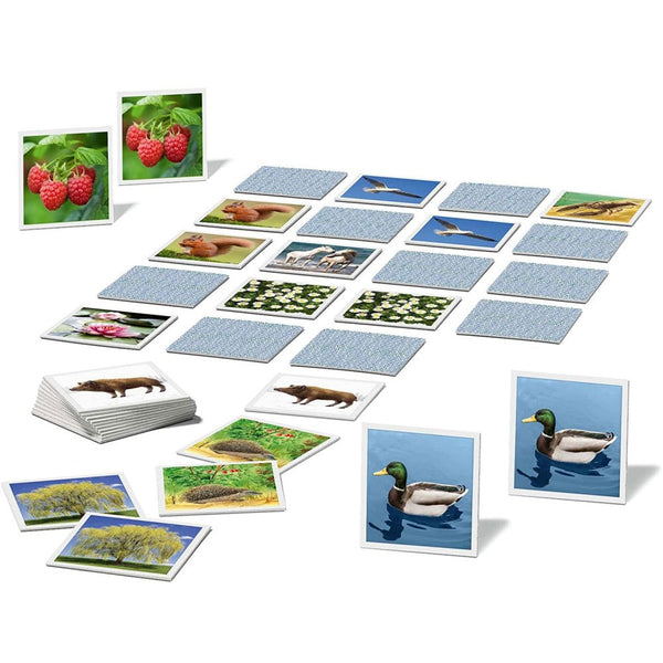 Nature Memory Game – Metro Hobbies