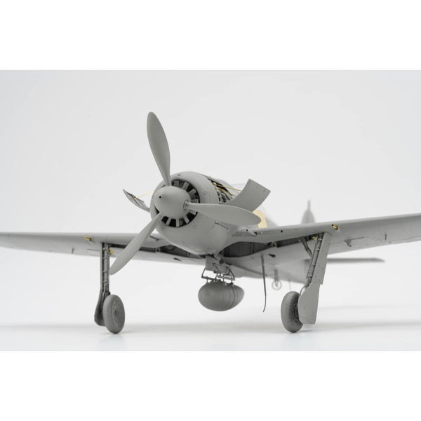 Border Models BF-009 1/35 Focke-Wulf FW-190A-8 (4 in 1 kit) – Metro Hobbies