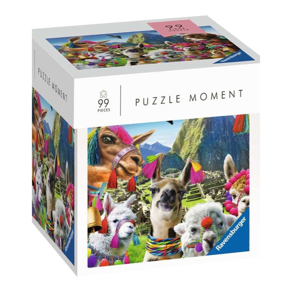 Ravensburger 72087-3 Puzzle Moment 99pc Jigsaw Puzzle Assorted 1pc ...
