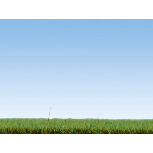 Noch 08157 Scatter Grass Forest Floor 2.5mm 120g – Metro Hobbies