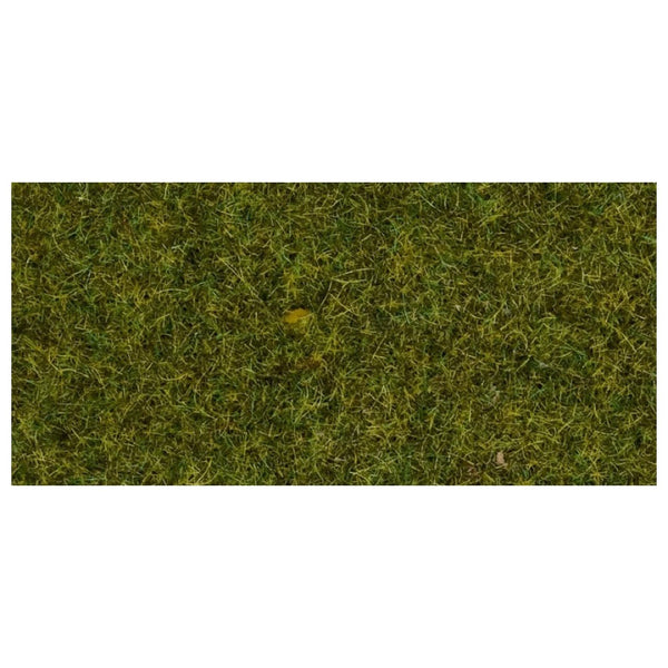 Noch 08312 Scatter Grass Meadow 2.5mm 20g – Metro Hobbies